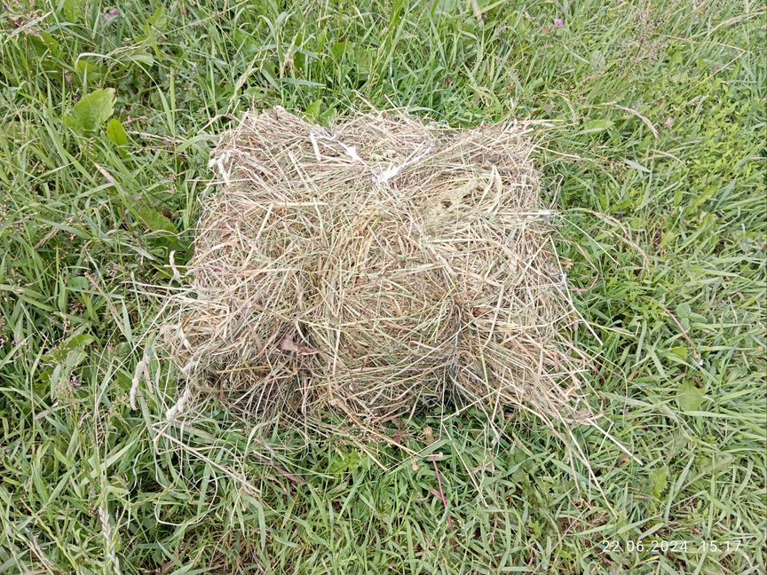 Сено луговое в кипах 3 кг