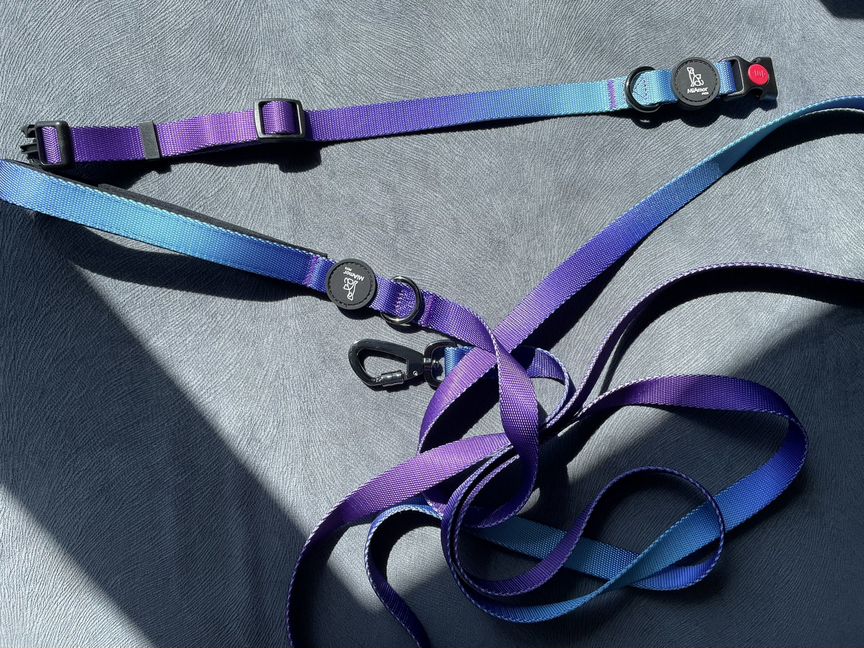 Новые поводок и ошейник miamorpets