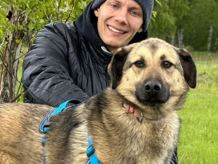 Преданный пёсик грустит в приюте