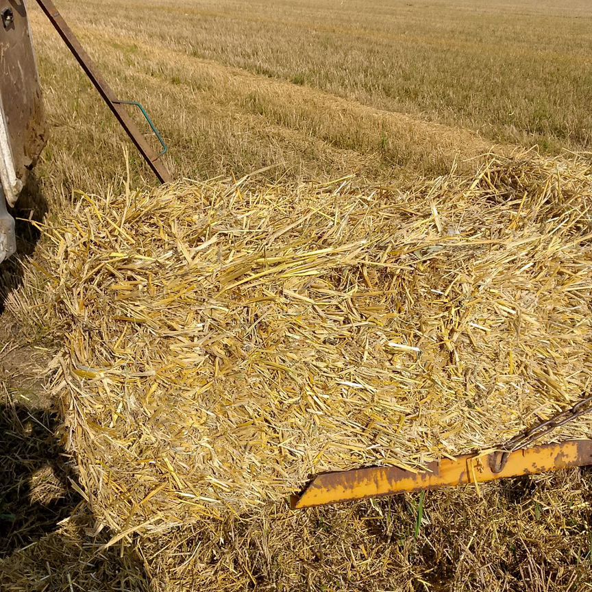 Солома в тюках с доставкой