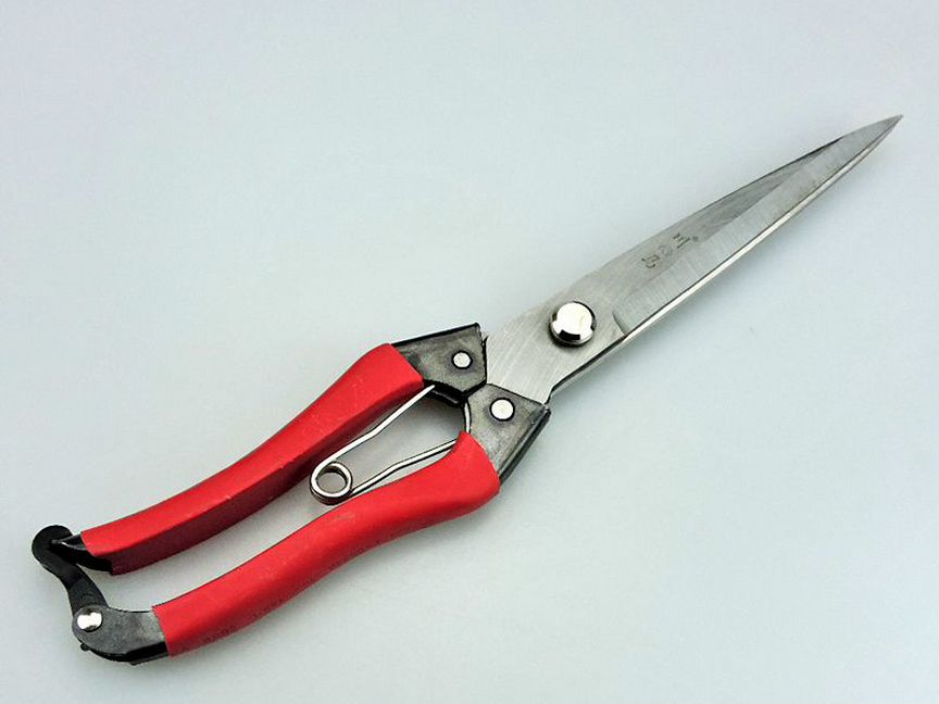 Ножницы для стрижки шерсти овец и др дом животных