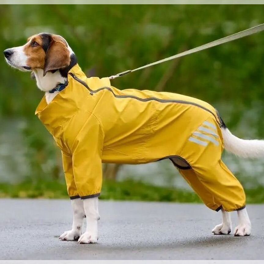 Комбинезон для собаки