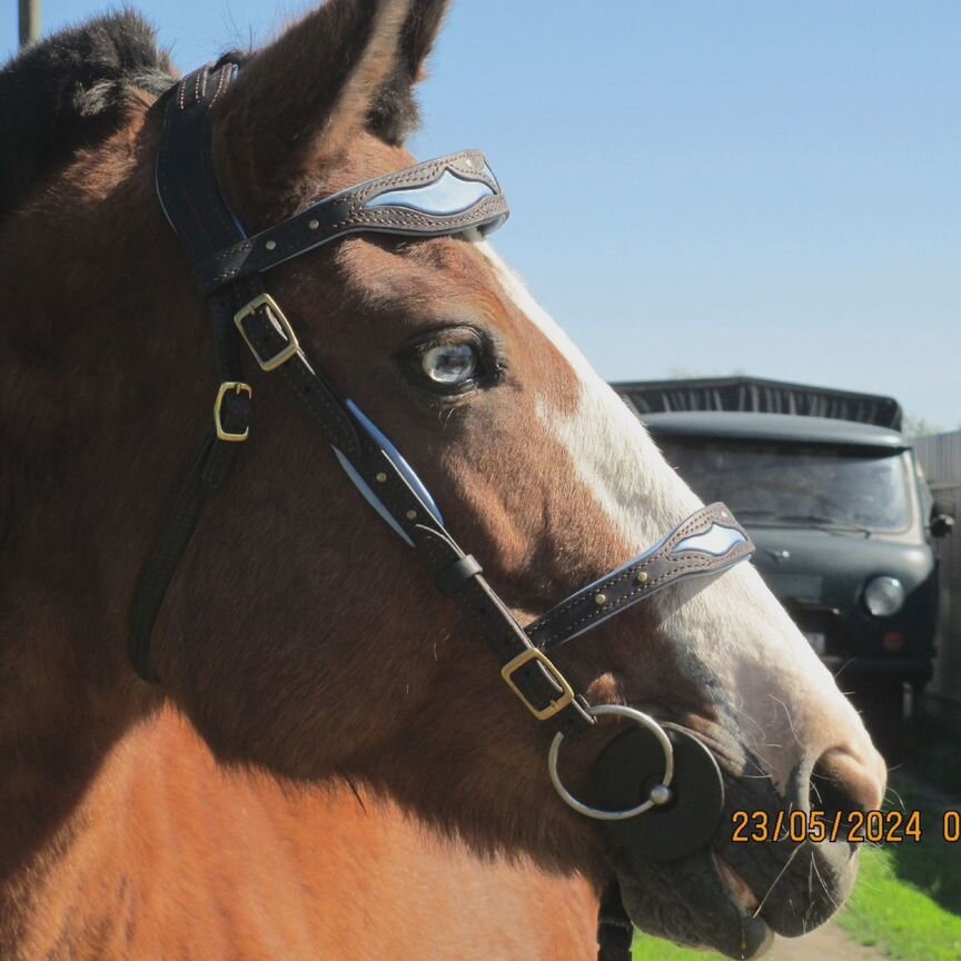 Уздечка на крупную лошадь