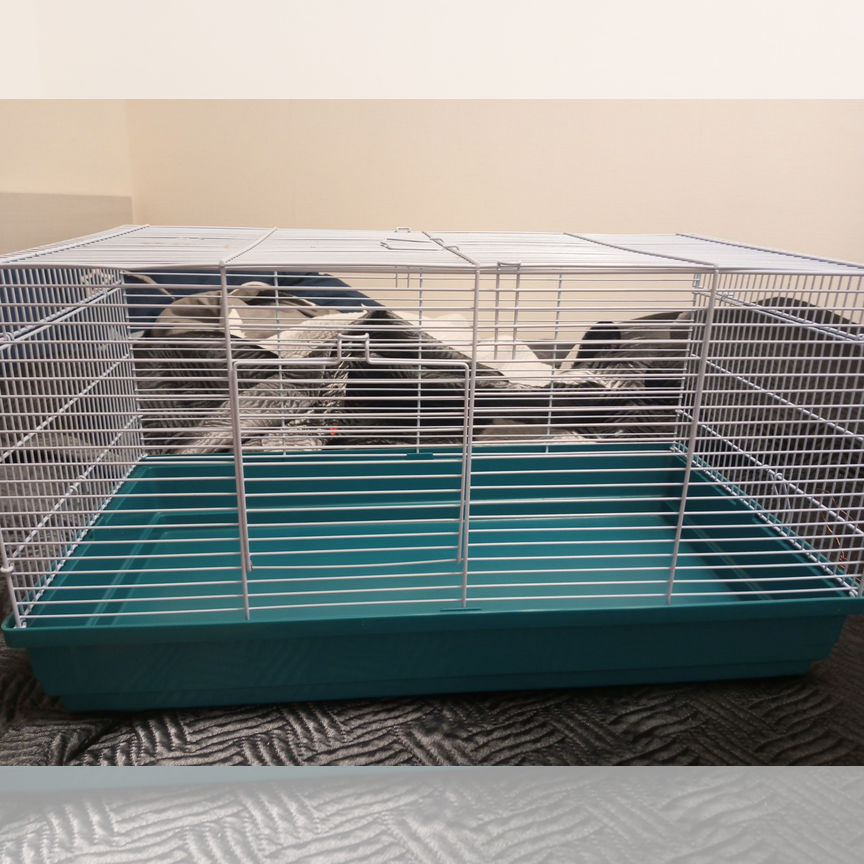 Клетка для грызунов бу