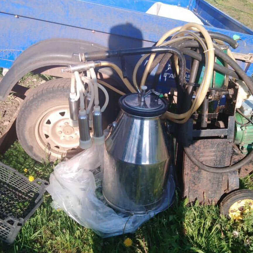 Доильный аппарат для коров бу