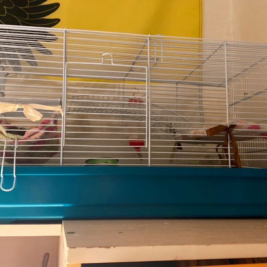 Клетка для крысы б/у