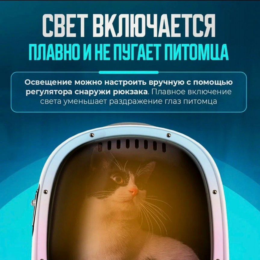 Переноска для кошек, рюкзак переноска