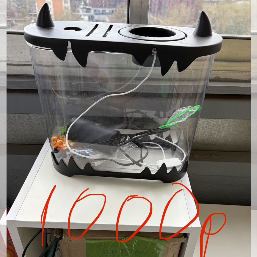 Готовый аквариум