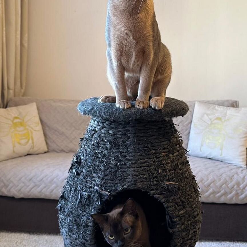 Домик для кошки с когтеточкой