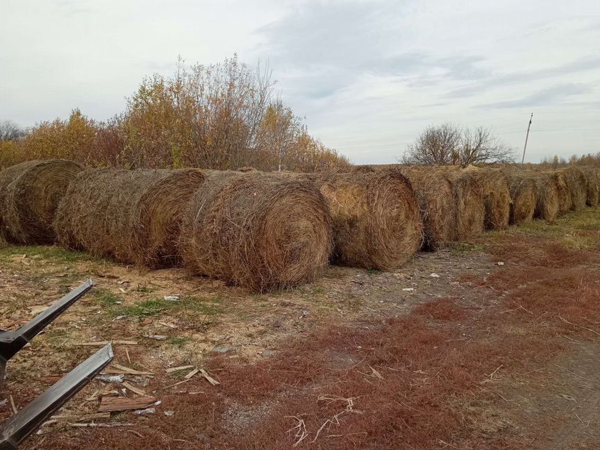 Сено в тюках разнотравье