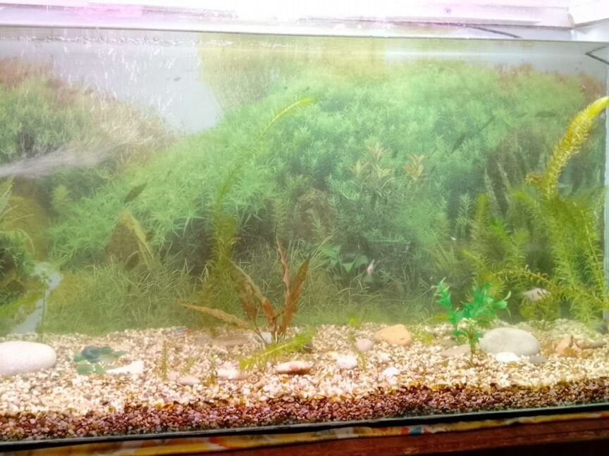 Аквариум 120 литров