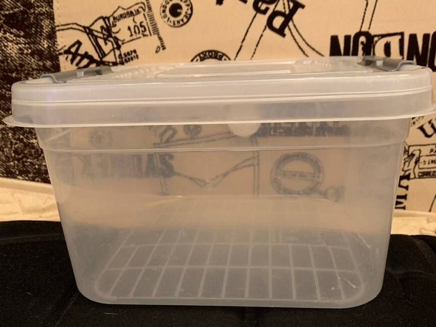 Контейнер для купания шиншиллы, Сено, Наполнитель