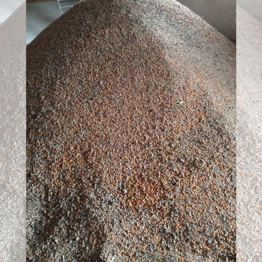 Зерносмесь