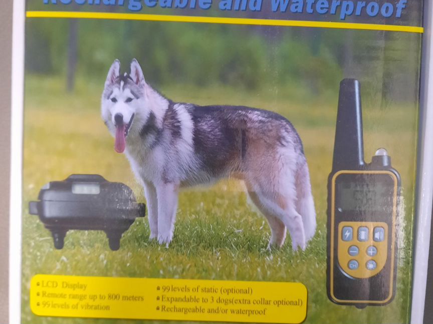 Электрический ошейник для собак