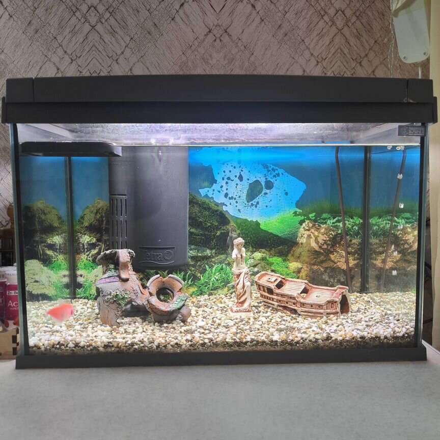 Аквариум