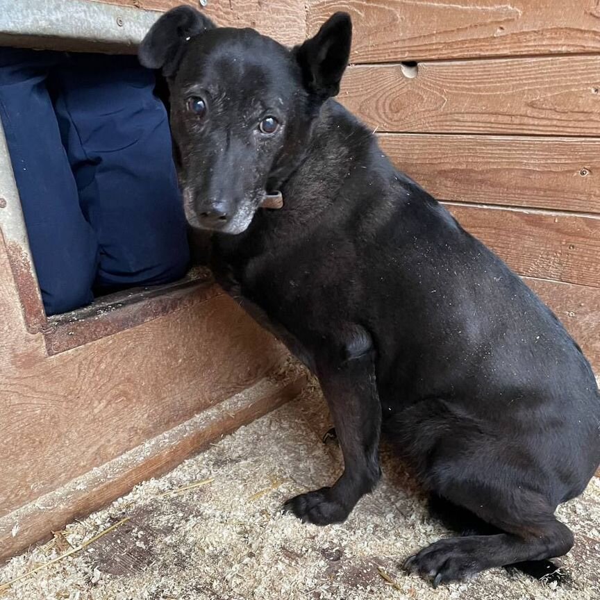 11 лет за решеткой приюта