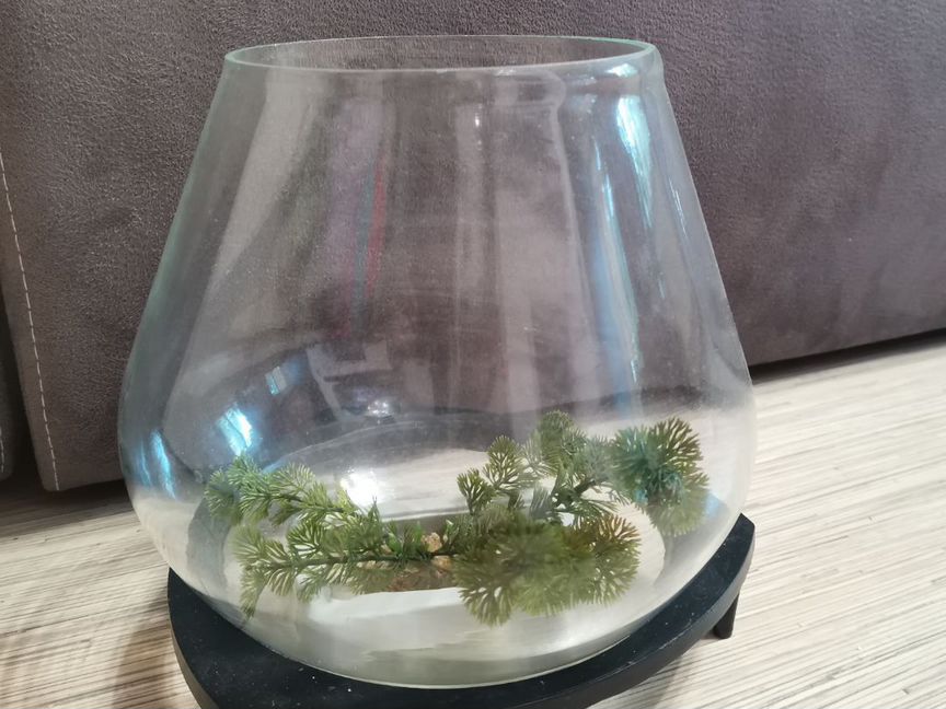 Набор юного натуралиста