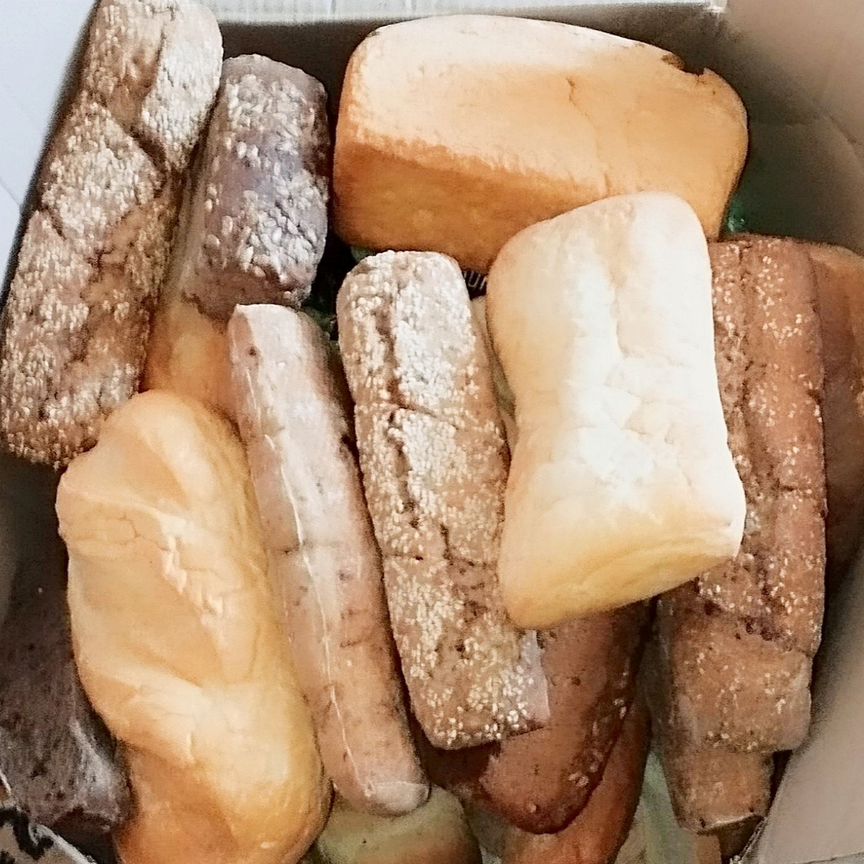 Корма для животных
