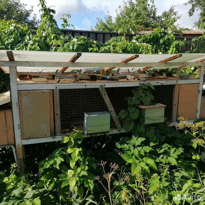 Мини-фермы для кроликов