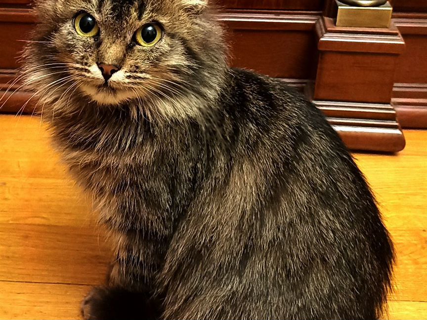 Малышка Тосенька