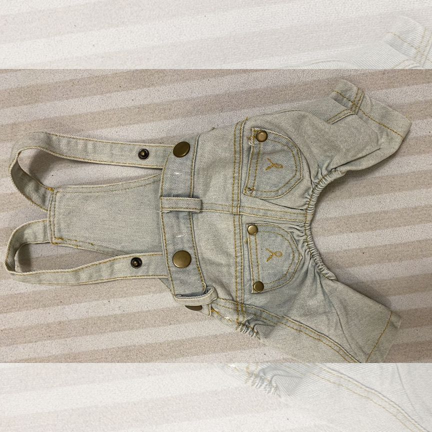 Одежда для маленьких собак xs