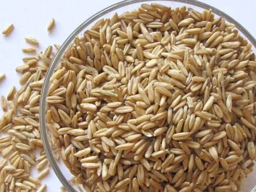 Овес неочищенный