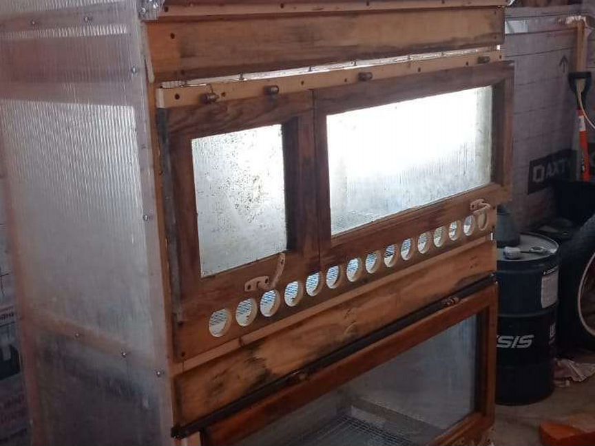 Брудер для цыплят