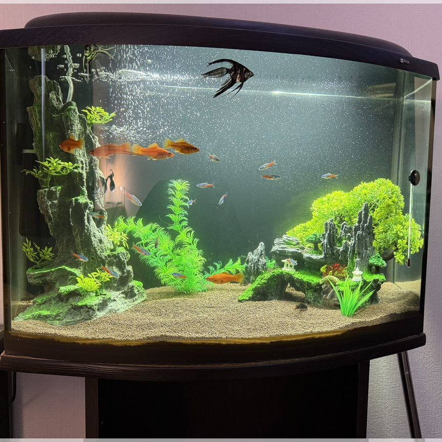 Аквариум с тумбой и рыбками