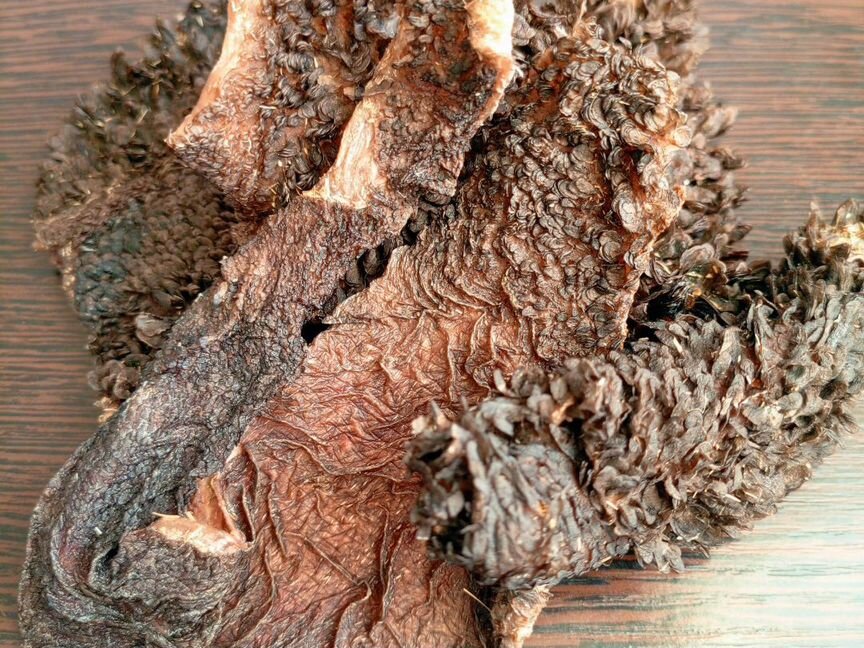 Рубец - лакомство для собак