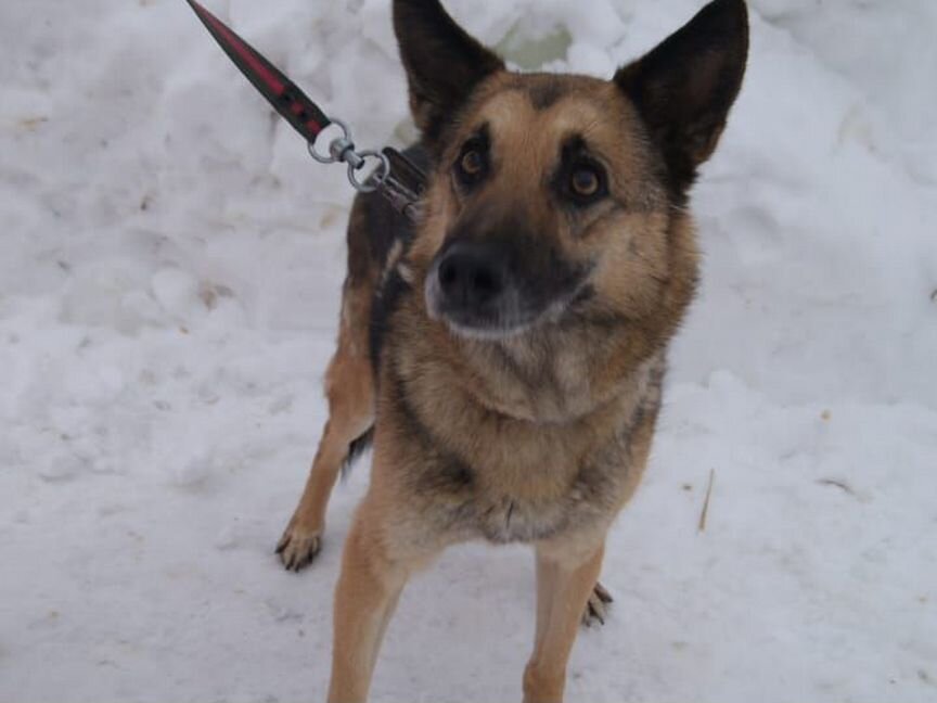 Парень на миллион