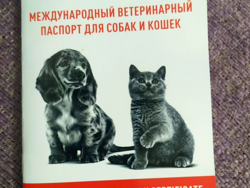 Ветеринарный паспорт