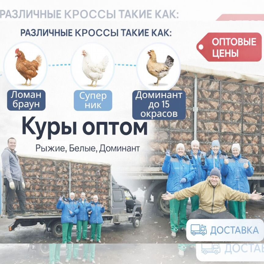 Птица оптом