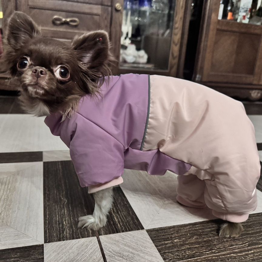 Зимний комбинезон для маленькой собаки
