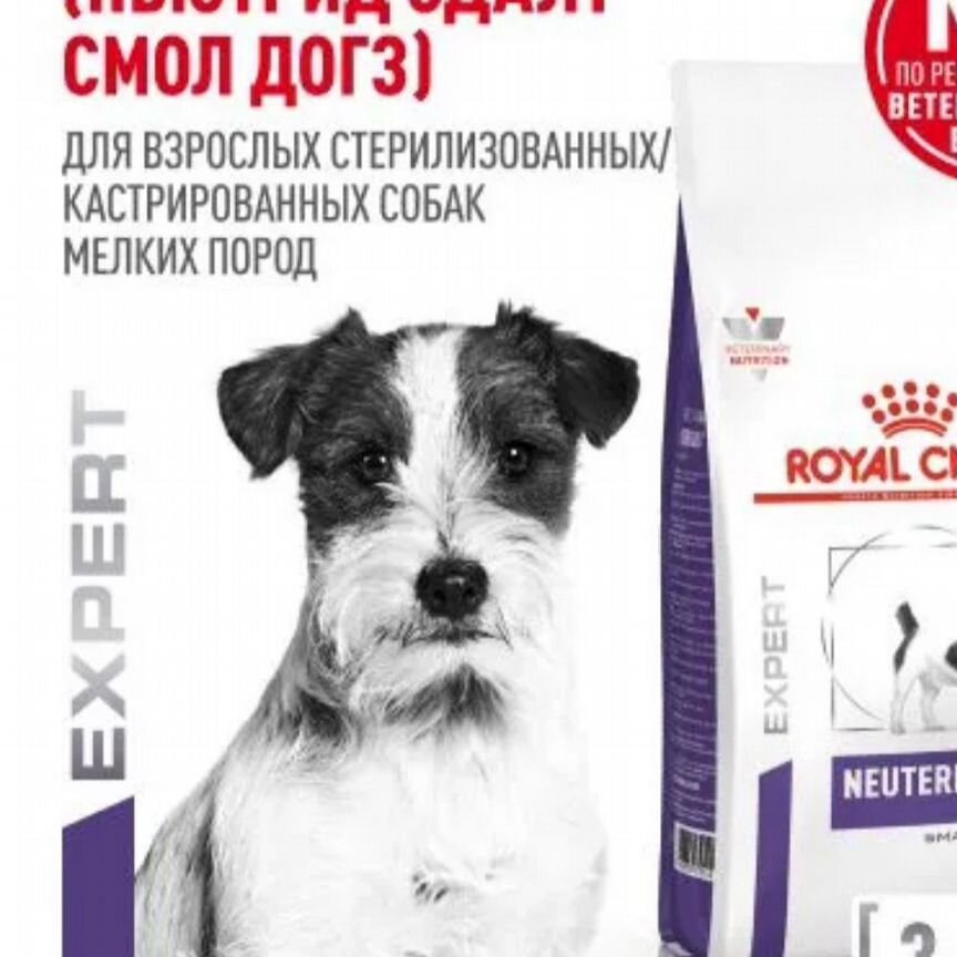 Корм для собак