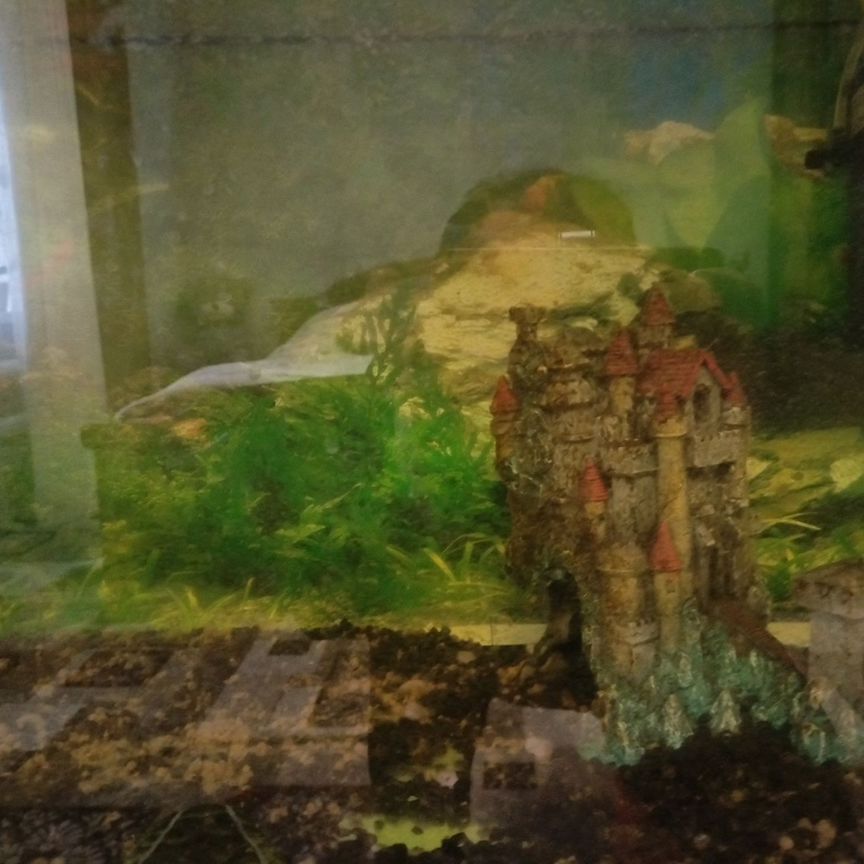 Продам Сома