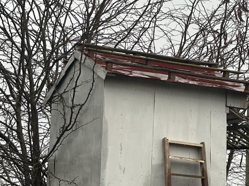 Голубятня,голубятник