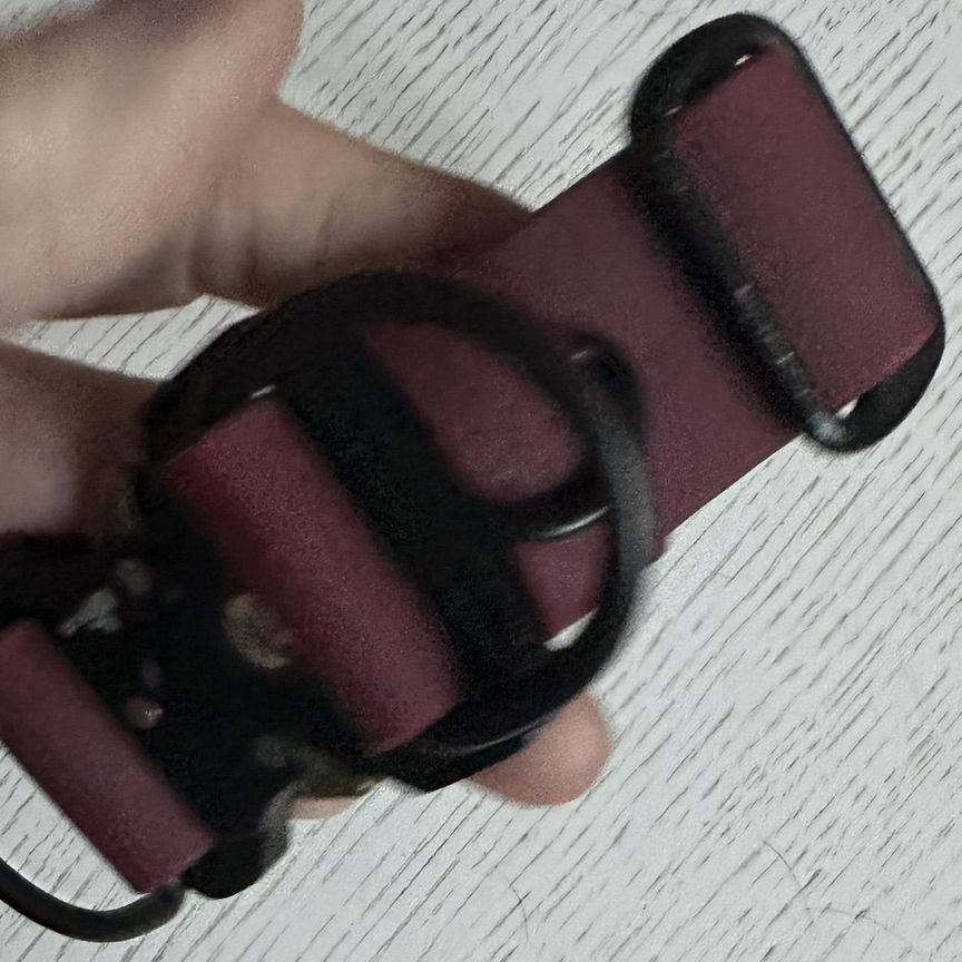 Ошейник для собак