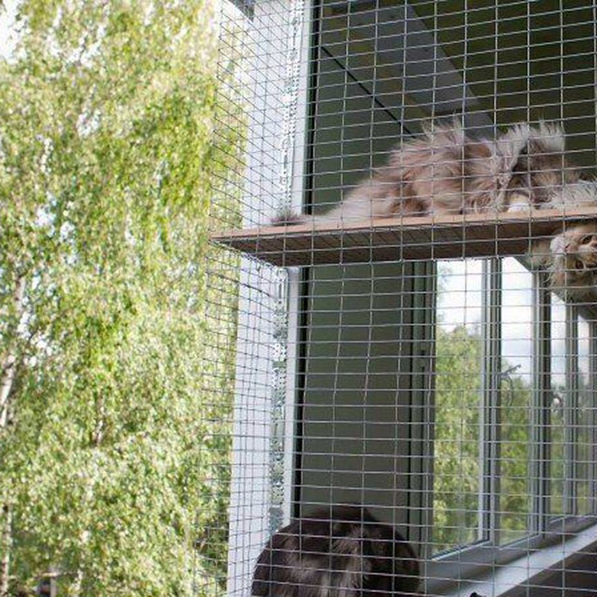 Вольер для кошек