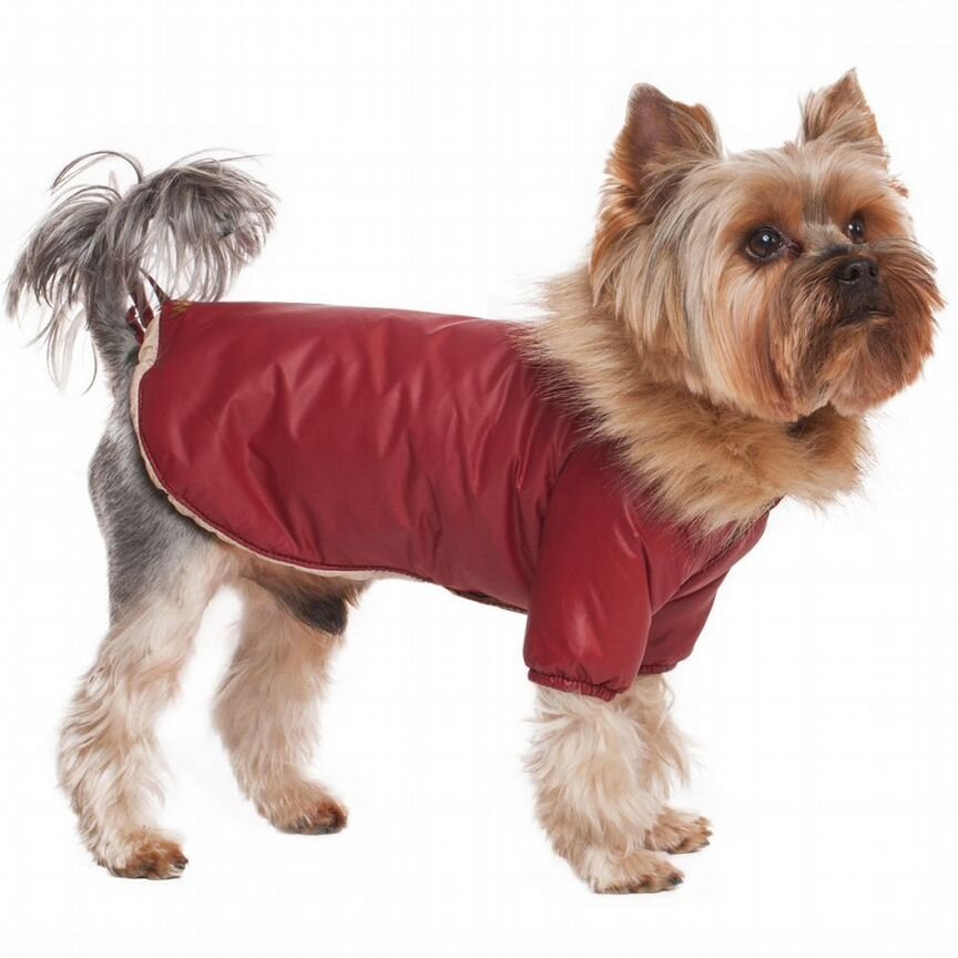 Куртка для собак Dogmoda Winter