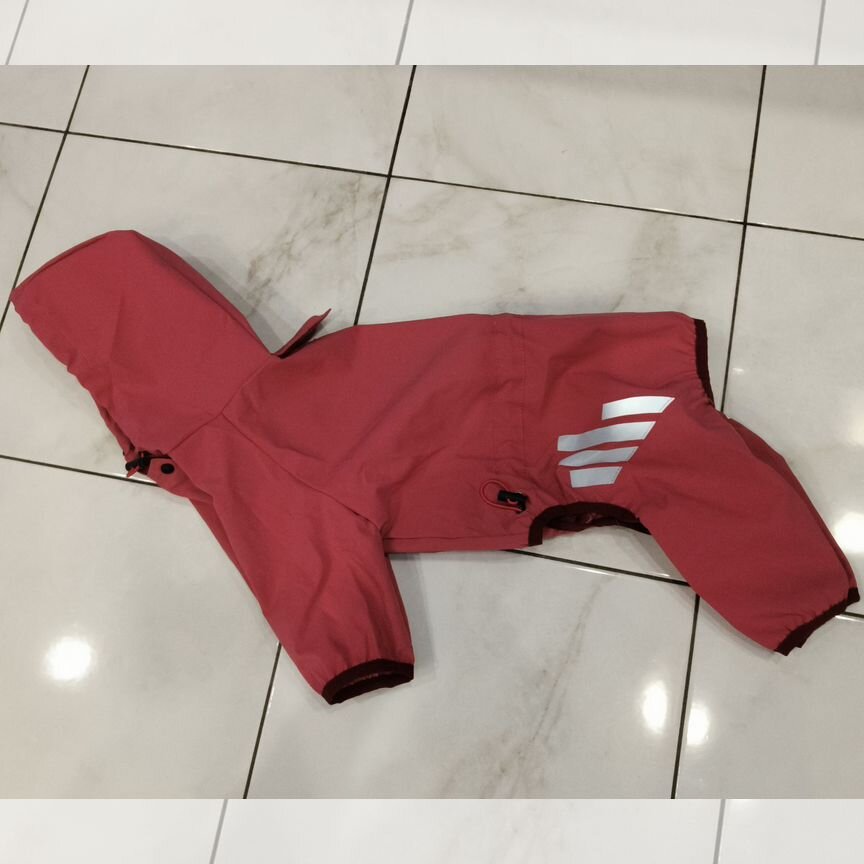 Товары для животных