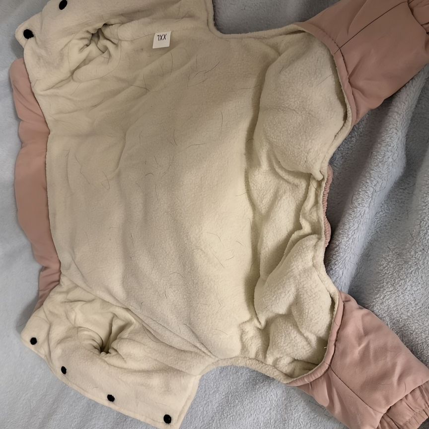 Зимняя одежда для собак