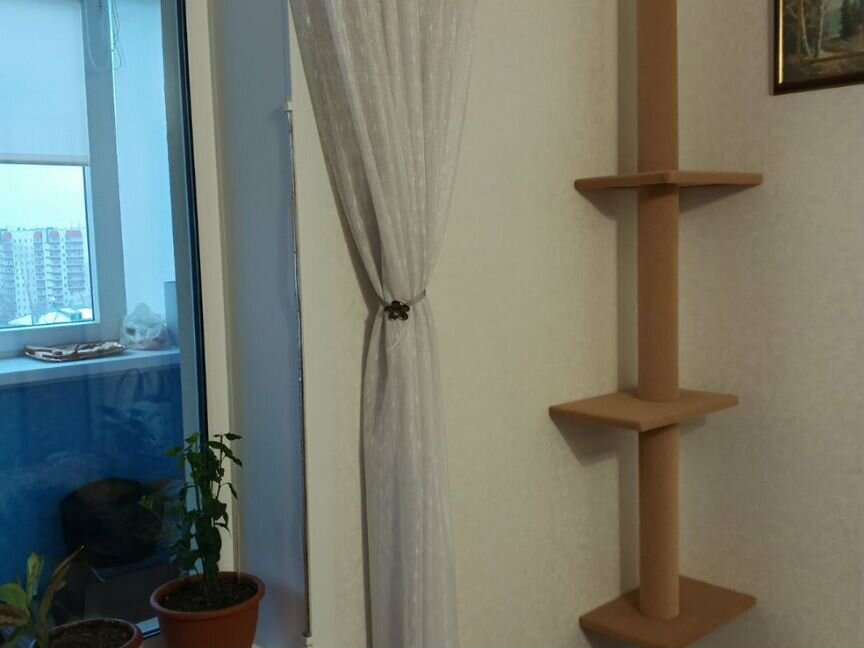 Когтеточка для кошек высокая