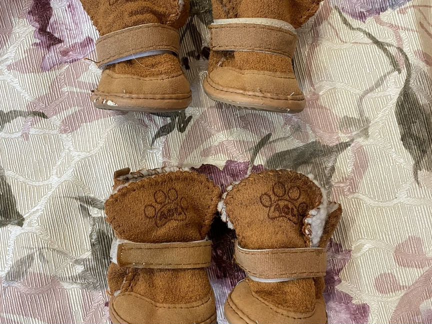 Ботинки для собак