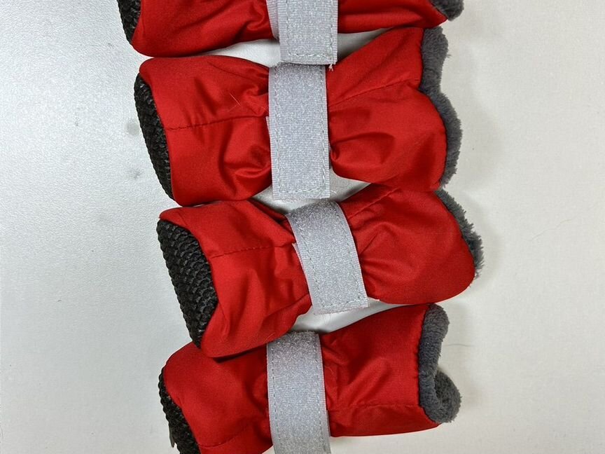 Ботинки для собак