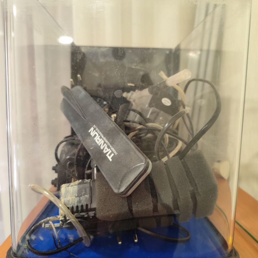 Аквариум со всем содержимым