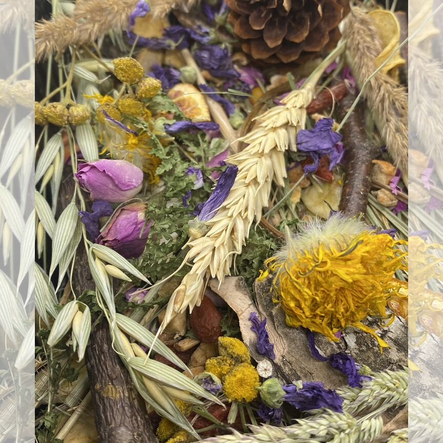 Копошилка для попугаев