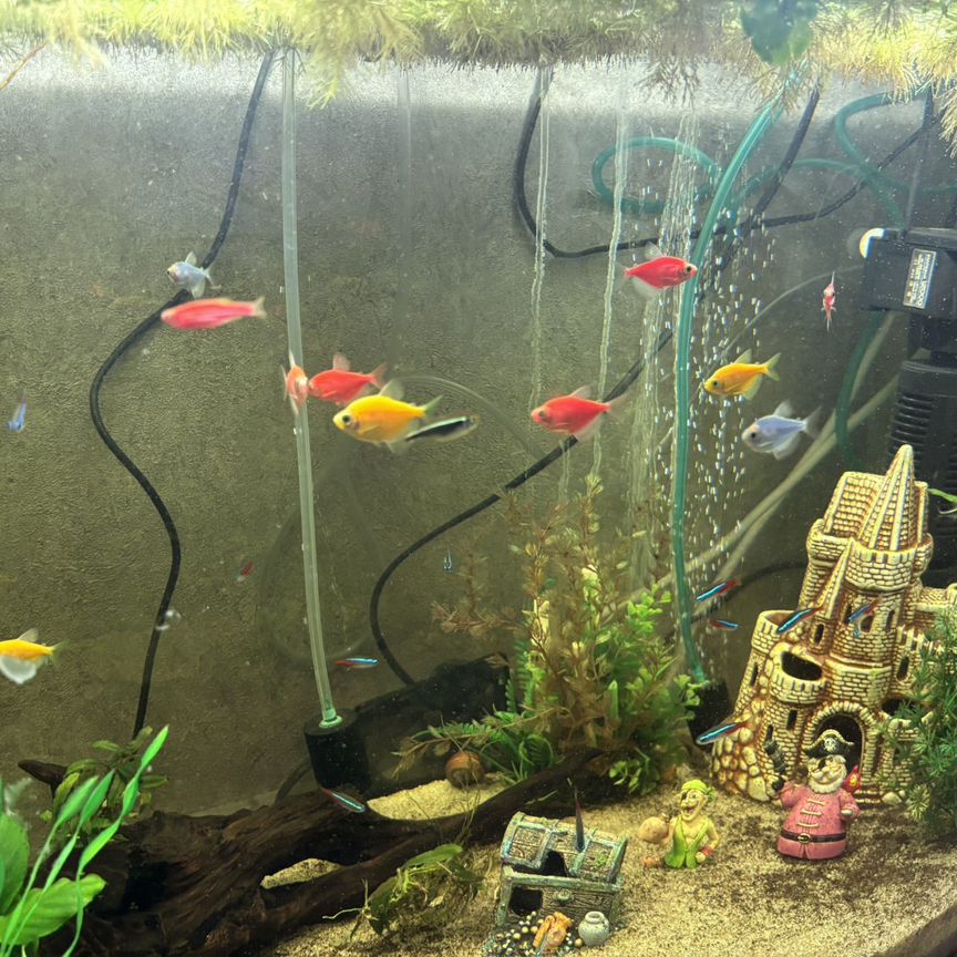 Аквариум Tetra 130литров