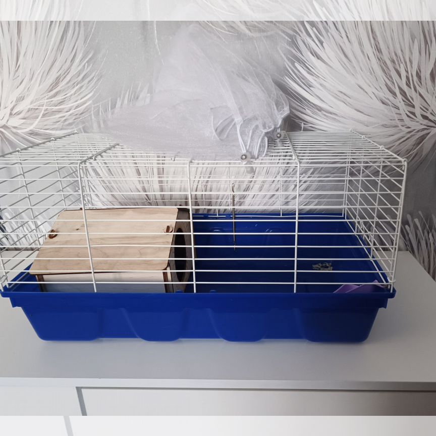 Клетка для грызунов бу