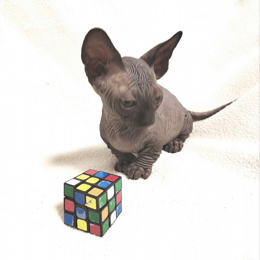 Бомбические детки