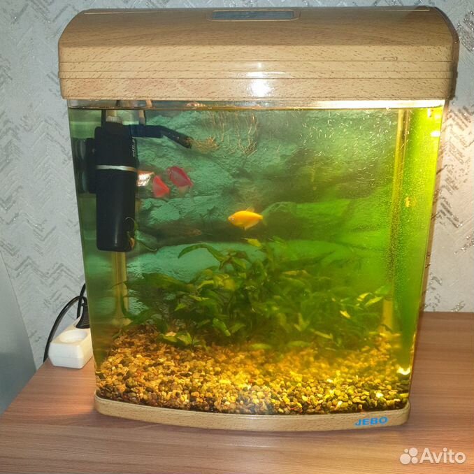 Продам аквариум с рыбкамм